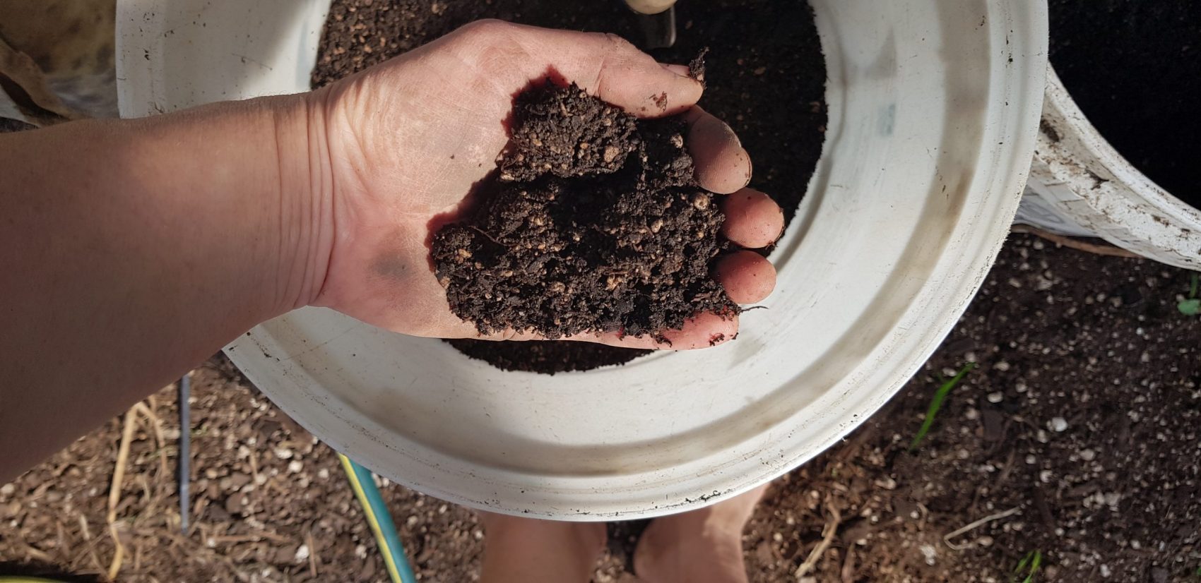 Homemade Seed Raising Mix