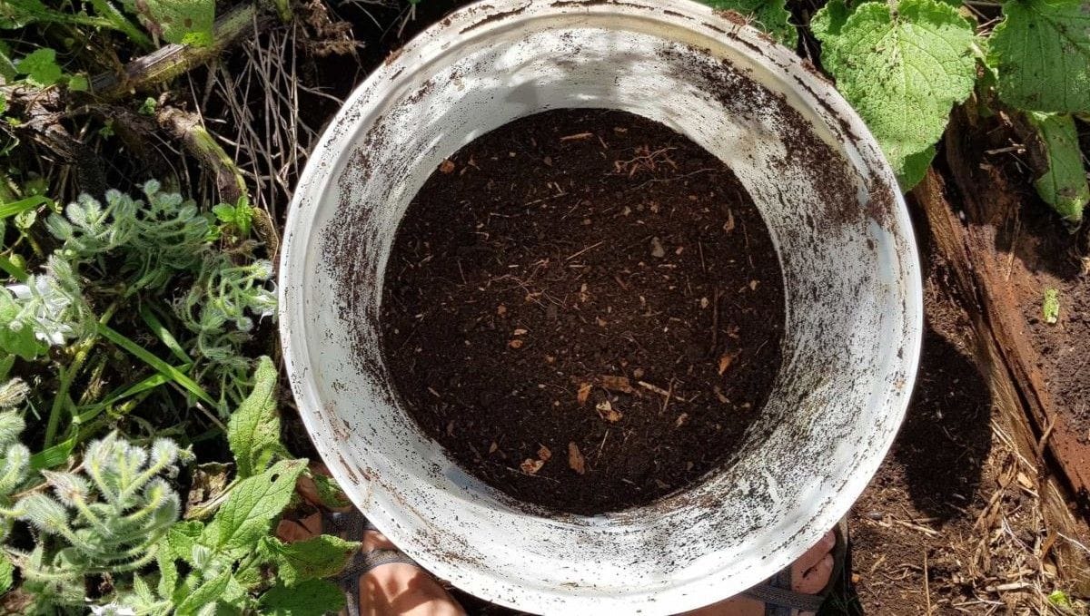 Homemade Seed Raising Mix