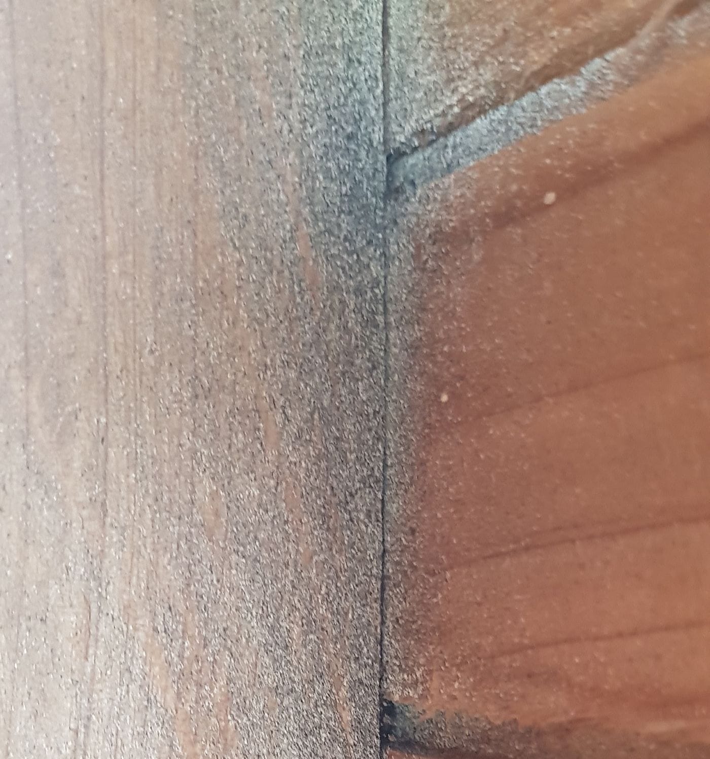 Save Your Chooks From Red Mites