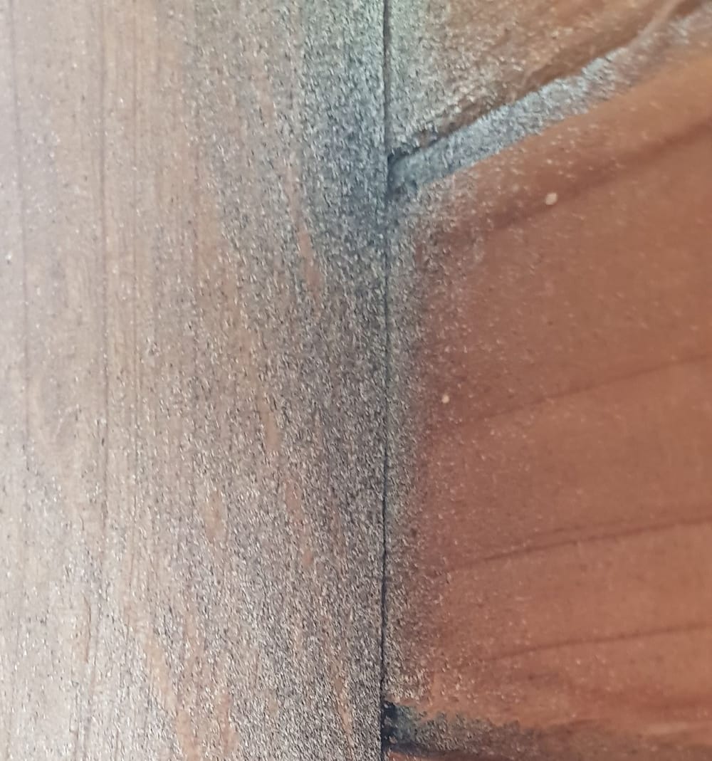 Save Your Chooks From Red Mites