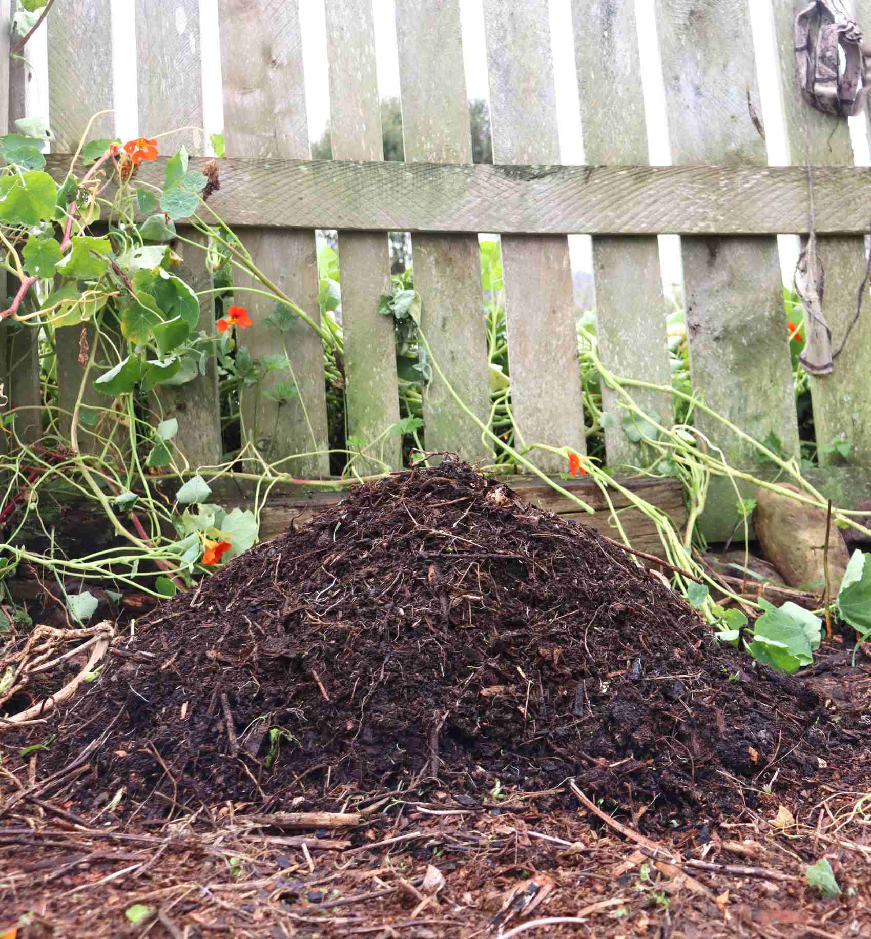 Easy Peasy Compost